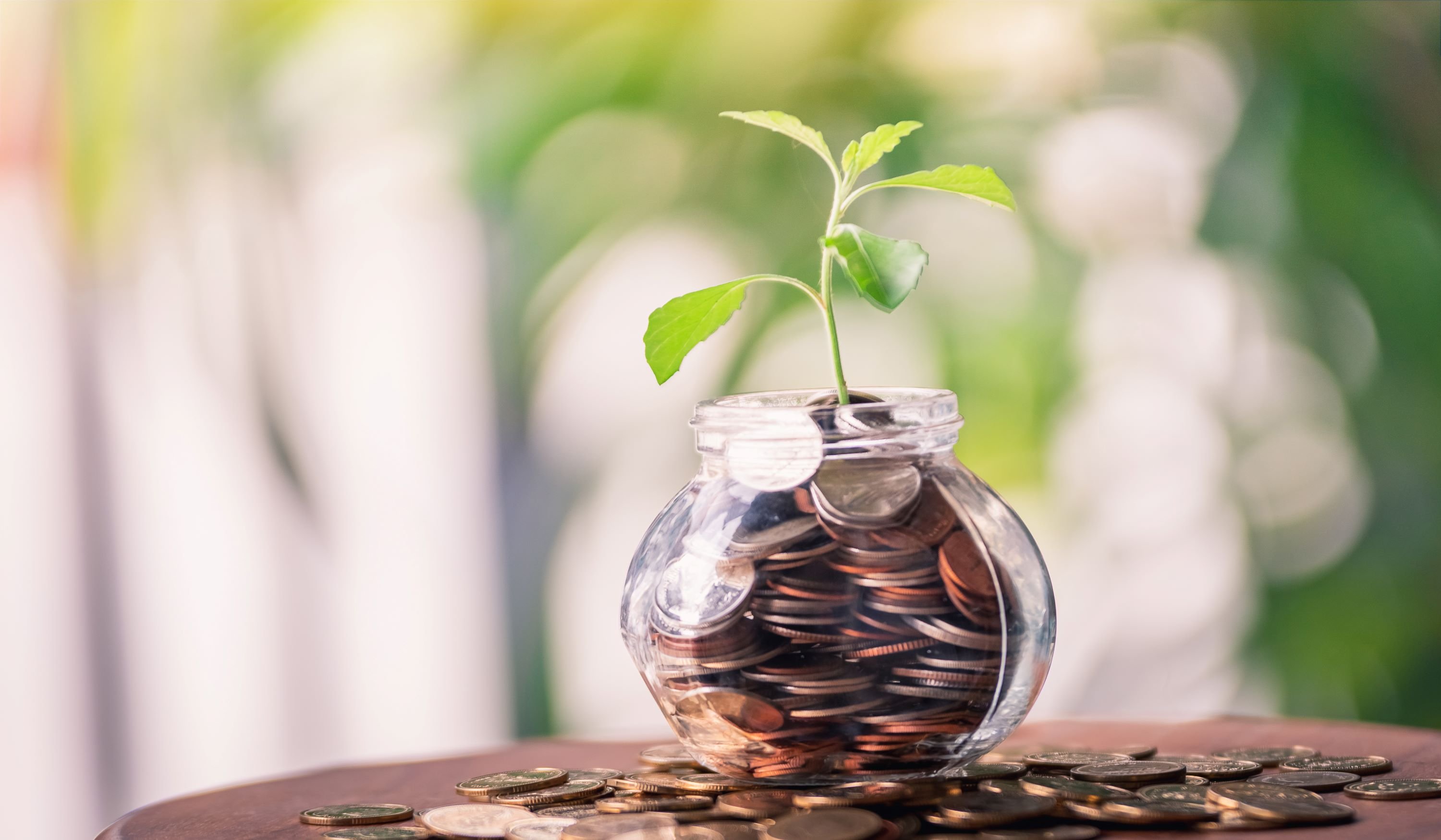 Why do environmental accounting?