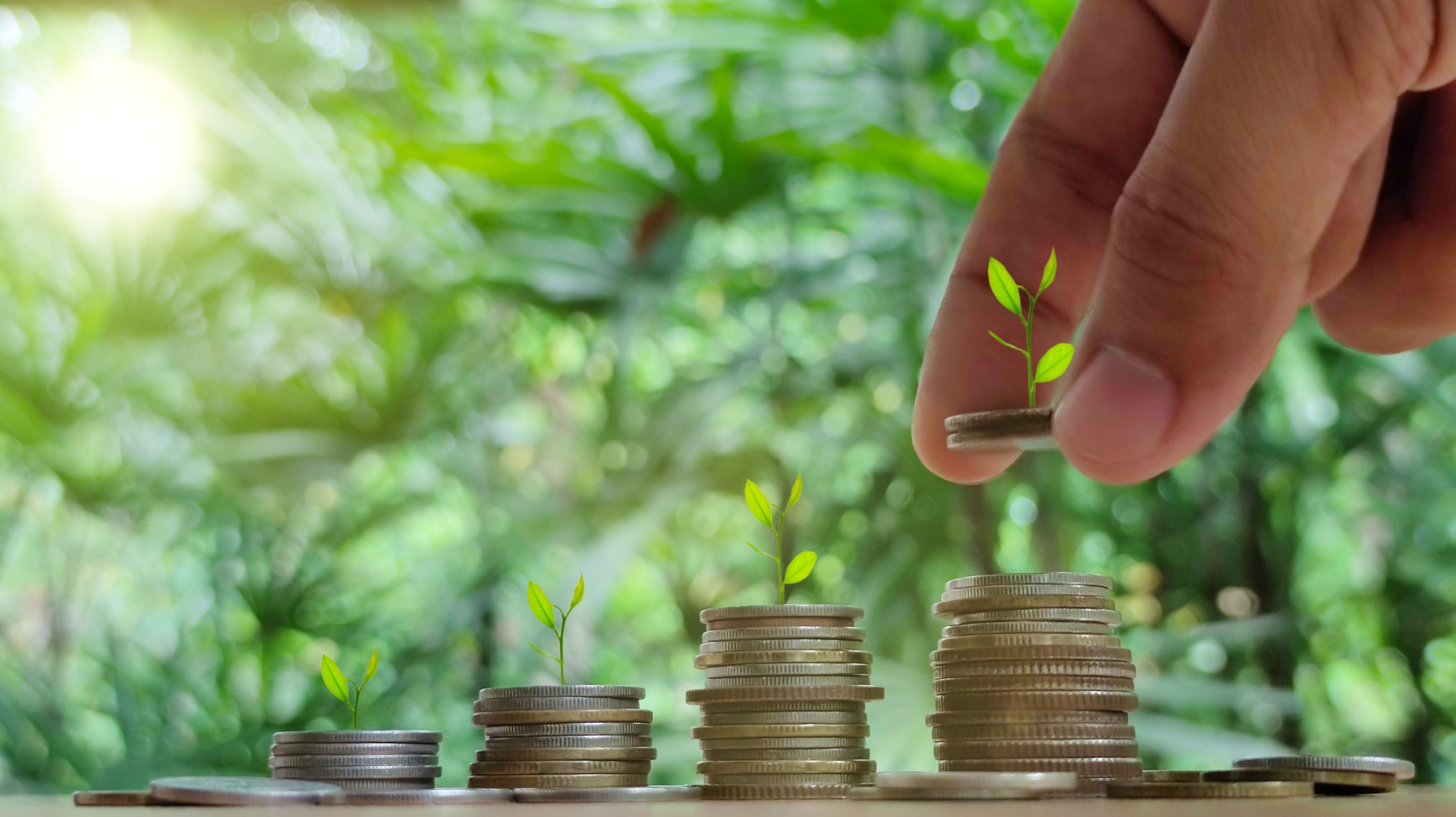 The Imperative of Carbon Accounting: Redefining Sustainability for Leaders