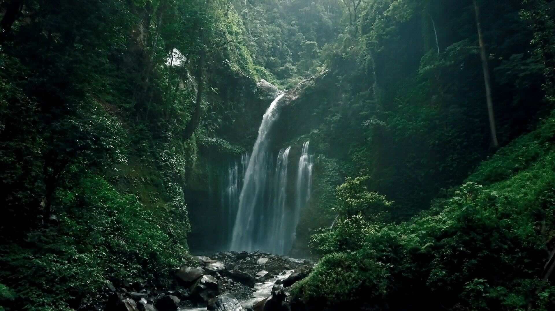 Why is environmental disclosure important?